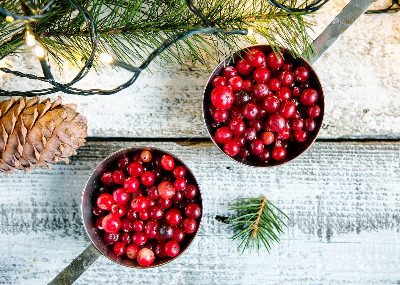 Why the Cranberry Embodies the Season - ResidentShield